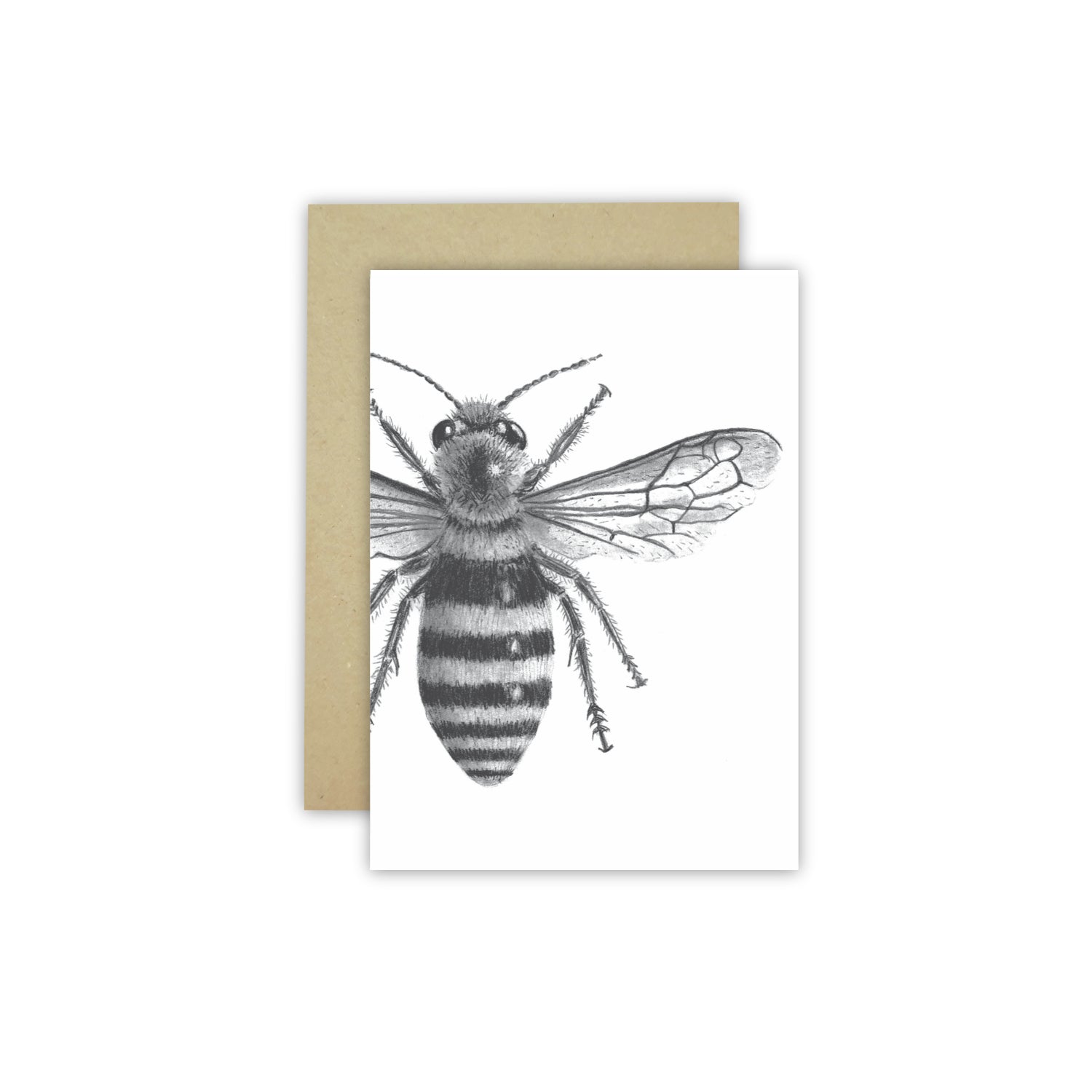 Bee C6 Card – Cathy Hamilton Artworks