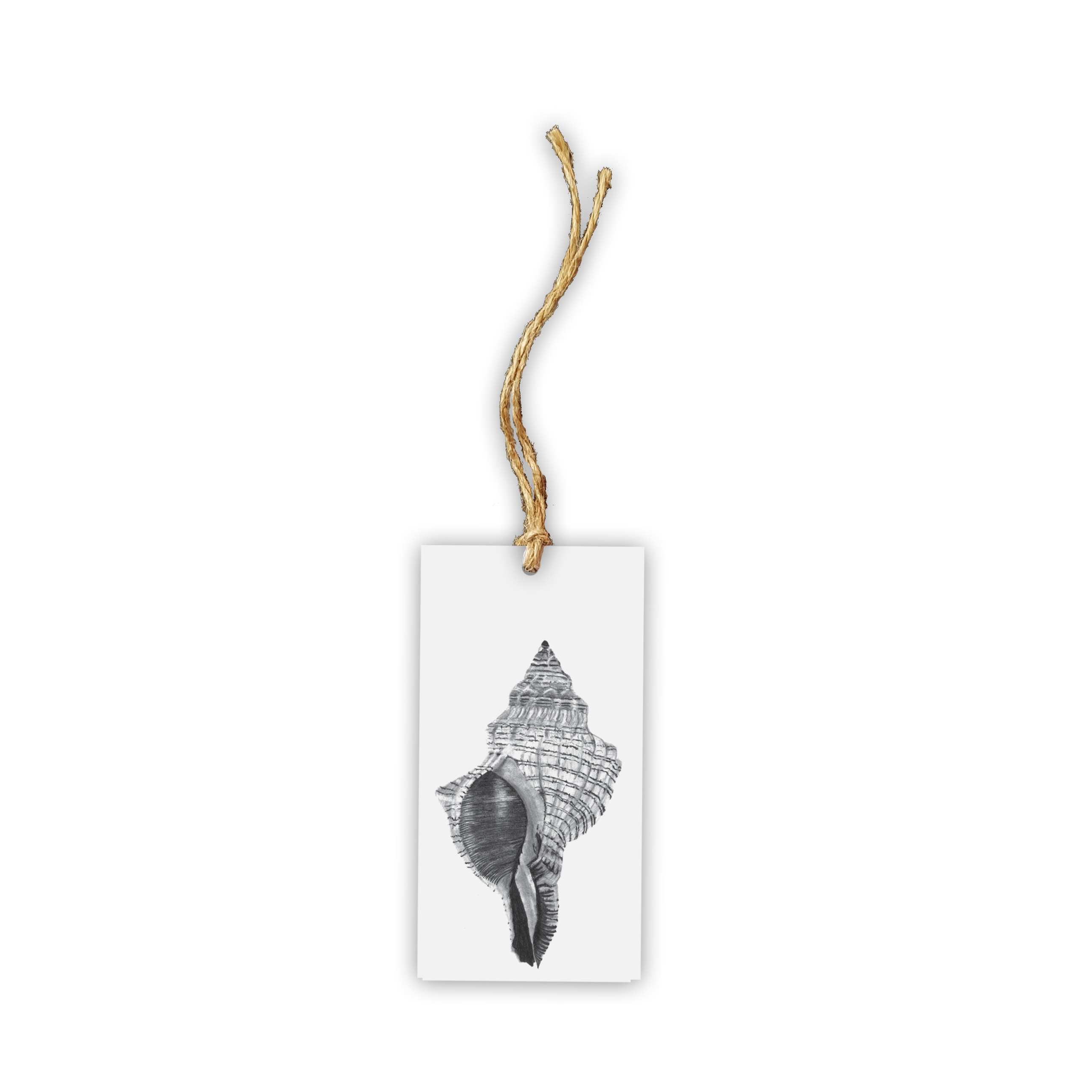Shell Tag – Cathy Hamilton Artworks