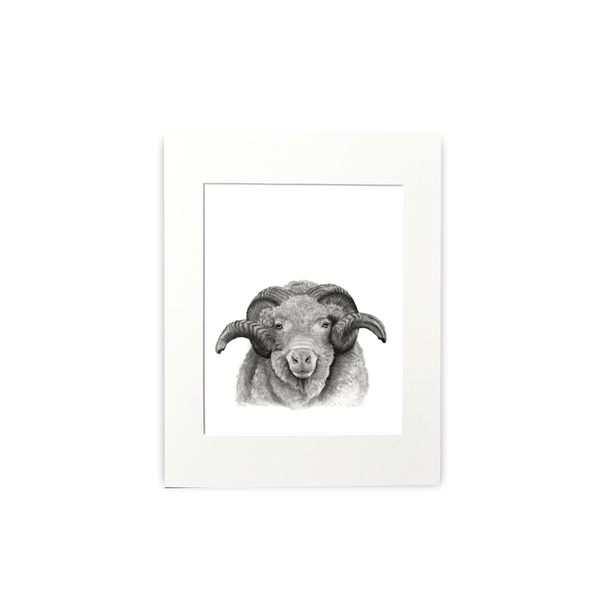 Ram Print – Cathy Hamilton Artworks